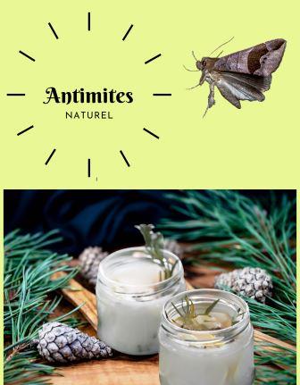 Un antimite naturel 10 fois plus efficace qu’un produit chimique - L ...